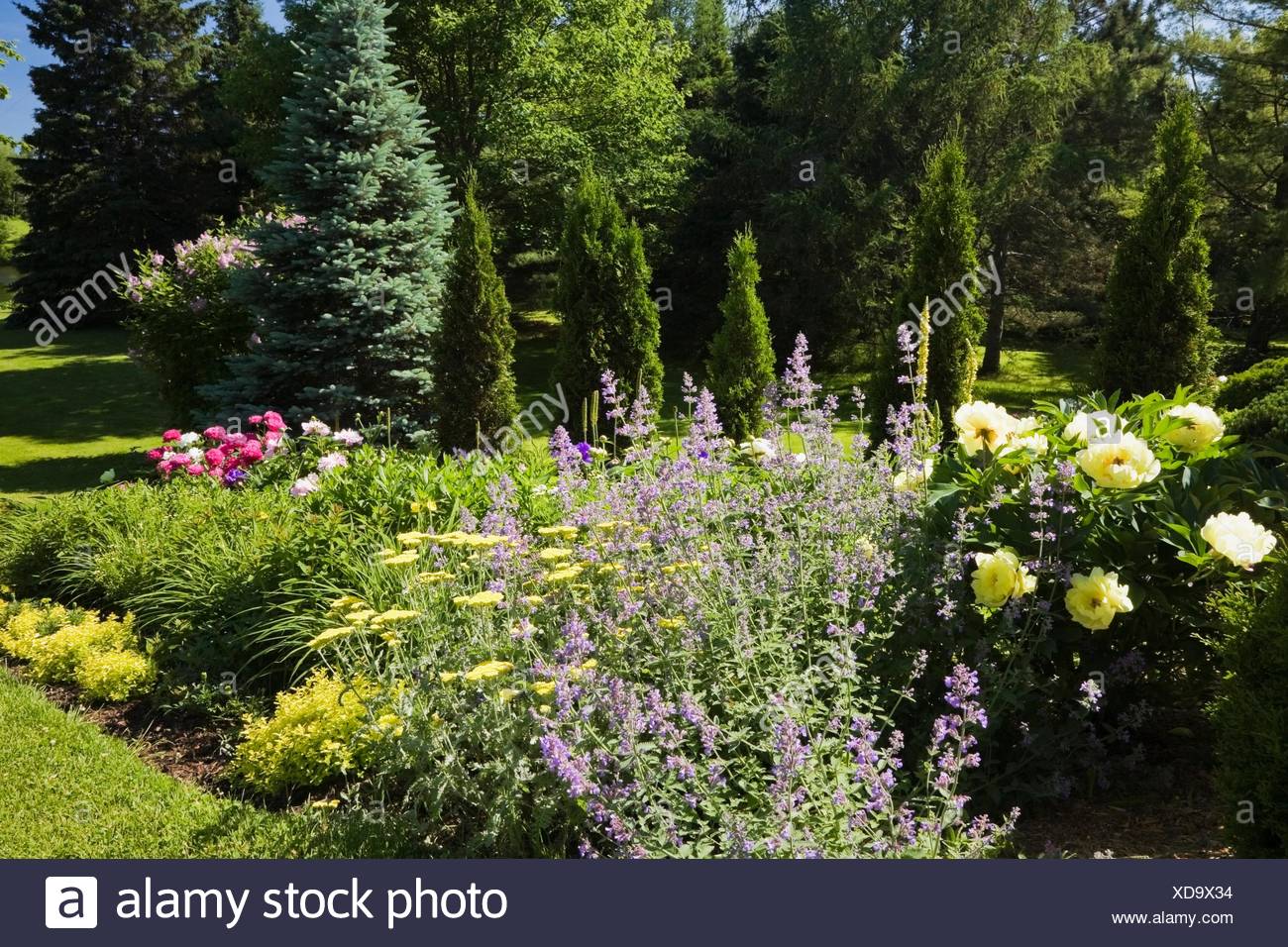 Planted Border High Resolution Stock Photography and Images - Alamy