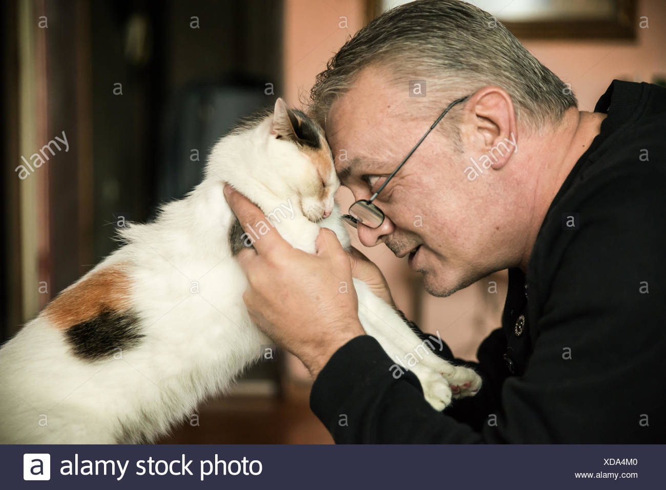 Man Holding Cat Stock Photos & Man Holding Cat Stock Images - Alamy