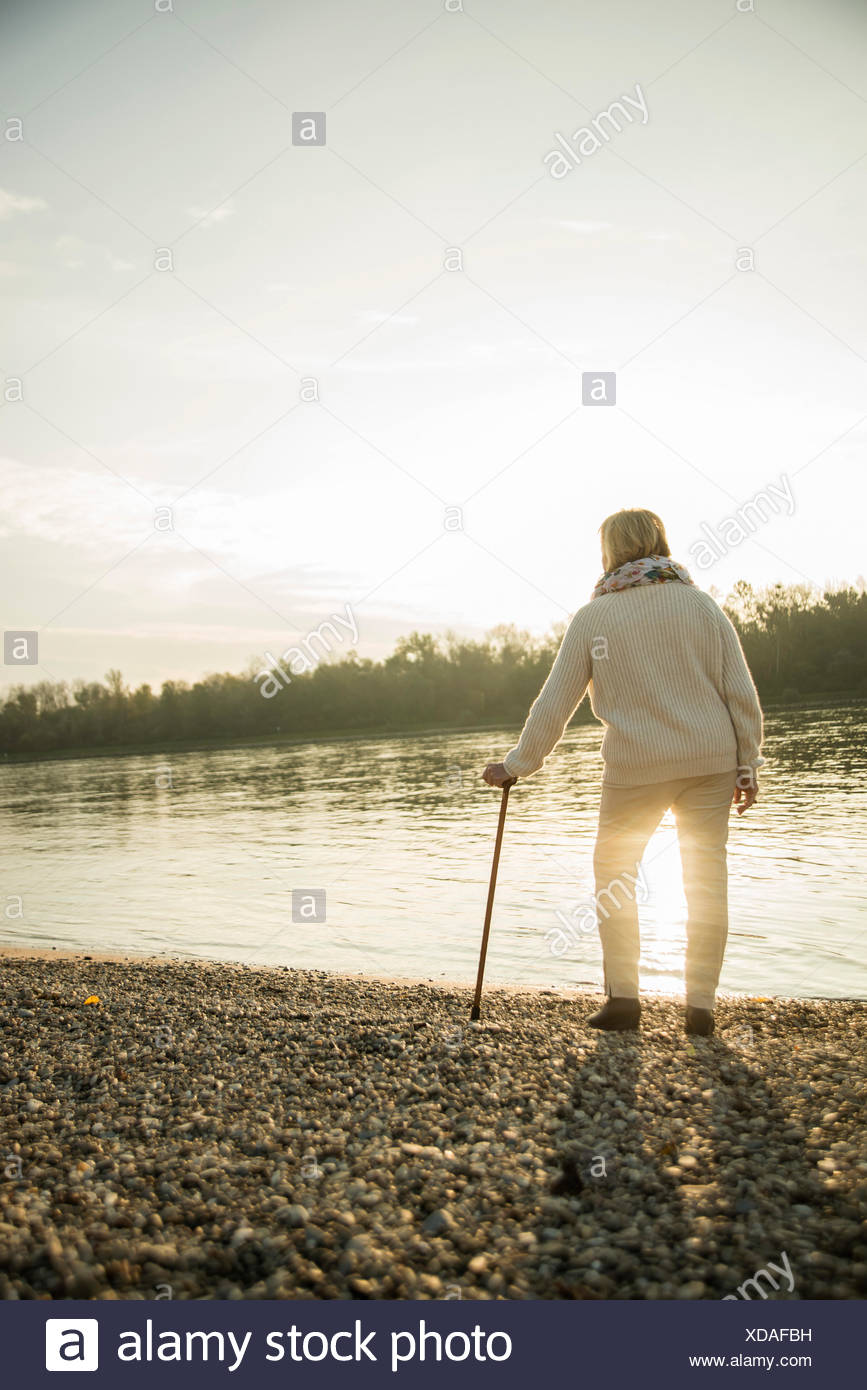 Standing Walking Stick High Resolution Stock Photography and Images - Alamy