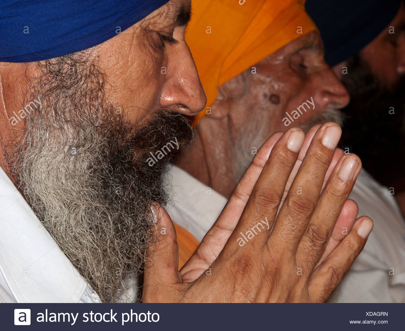 Sikh Devotee High Resolution Stock Photography and Images - Alamy