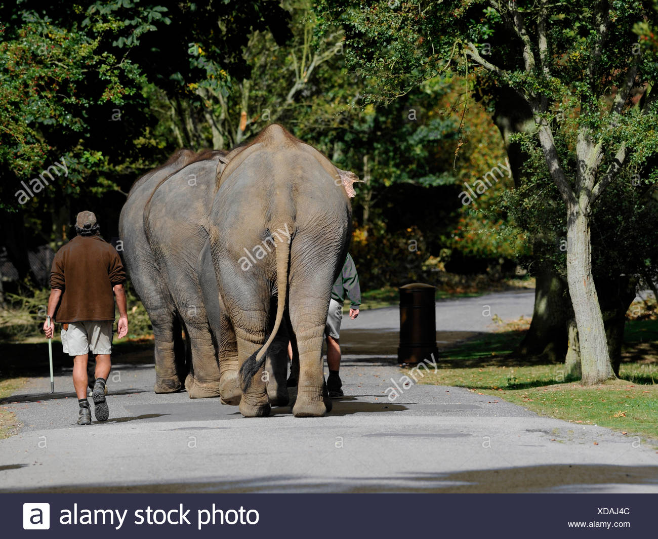 Controlled High Resolution Stock Photography and Images - Alamy