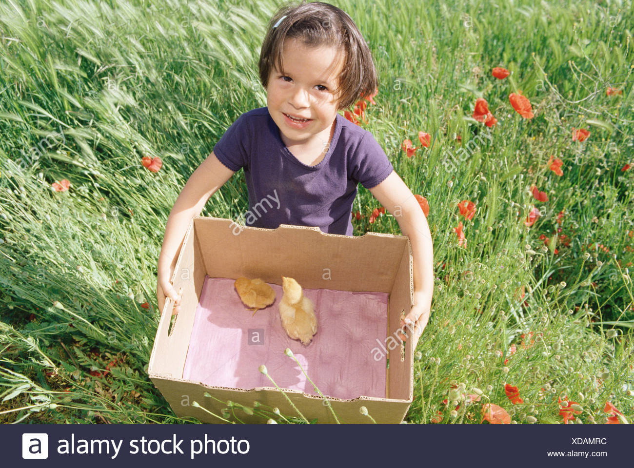 Box Stand High Resolution Stock Photography and Images - Alamy