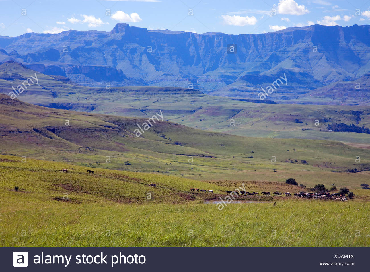 Lesotho Border Stock Photos & Lesotho Border Stock Images - Alamy