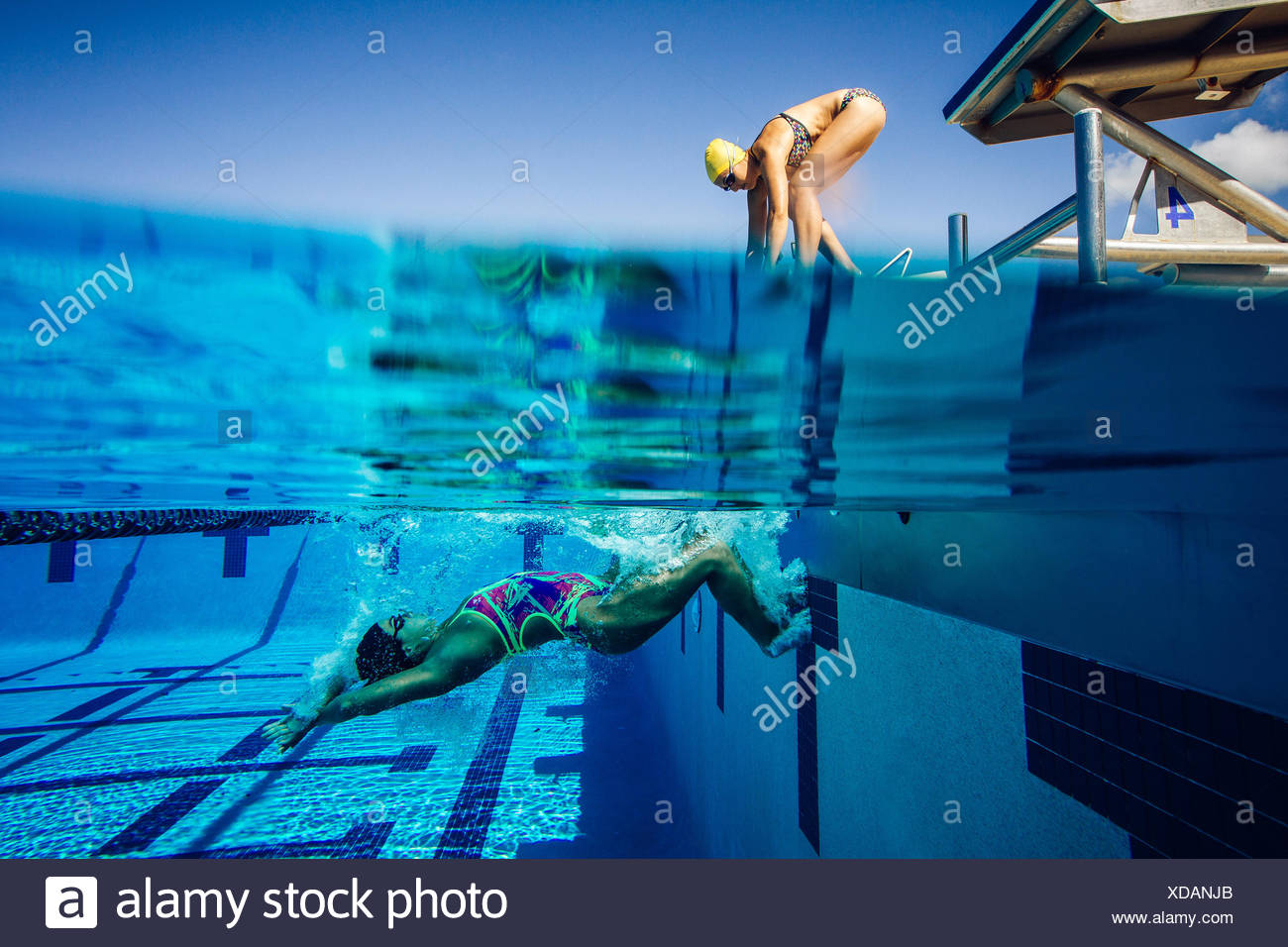 Bikini Diving Board High Resolution Stock Photography and Images - Alamy