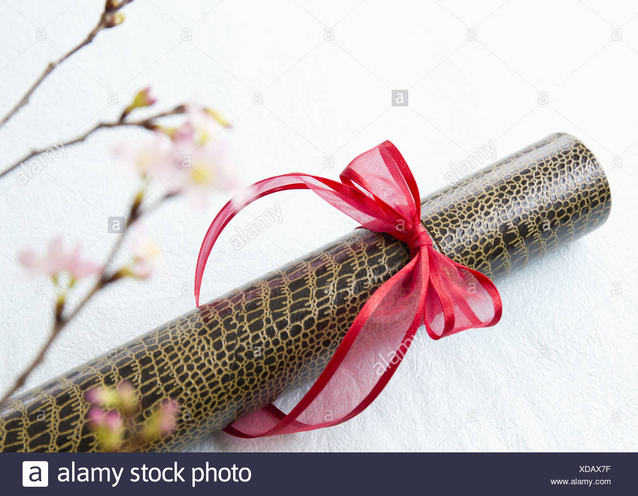 Diploma Tube High Resolution Stock Photography and Images - Alamy