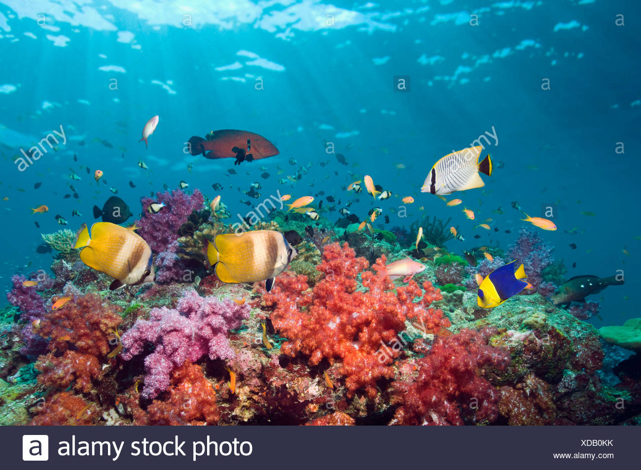 Andaman Sea Thailand High Resolution Stock Photography and Images - Alamy