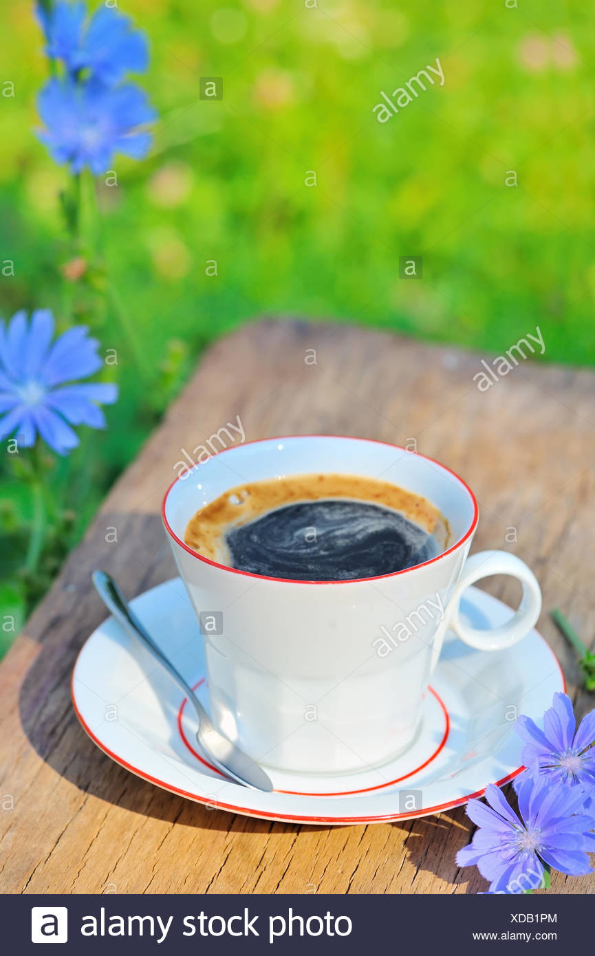 Chicory Coffee Stock Photos & Chicory Coffee Stock Images - Alamy