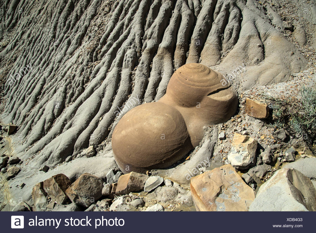 Concretion High Resolution Stock Photography and Images - Alamy