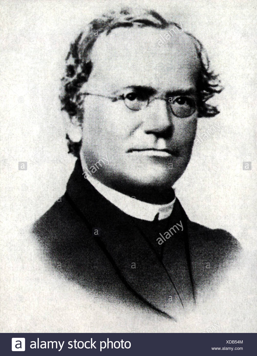 Gregor Mendel Stock Photos & Gregor Mendel Stock Images - Alamy