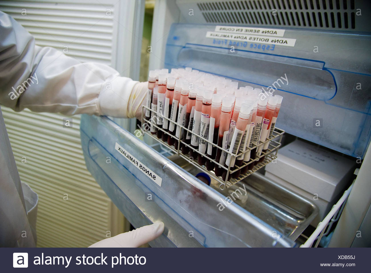 Cryopreservation High Resolution Stock Photography and Images - Alamy