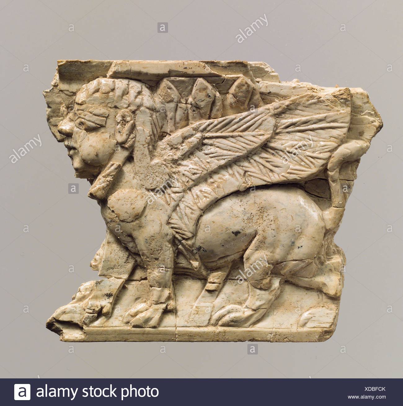 59 7 X 44 Cm High Resolution Stock Photography and Images - Alamy