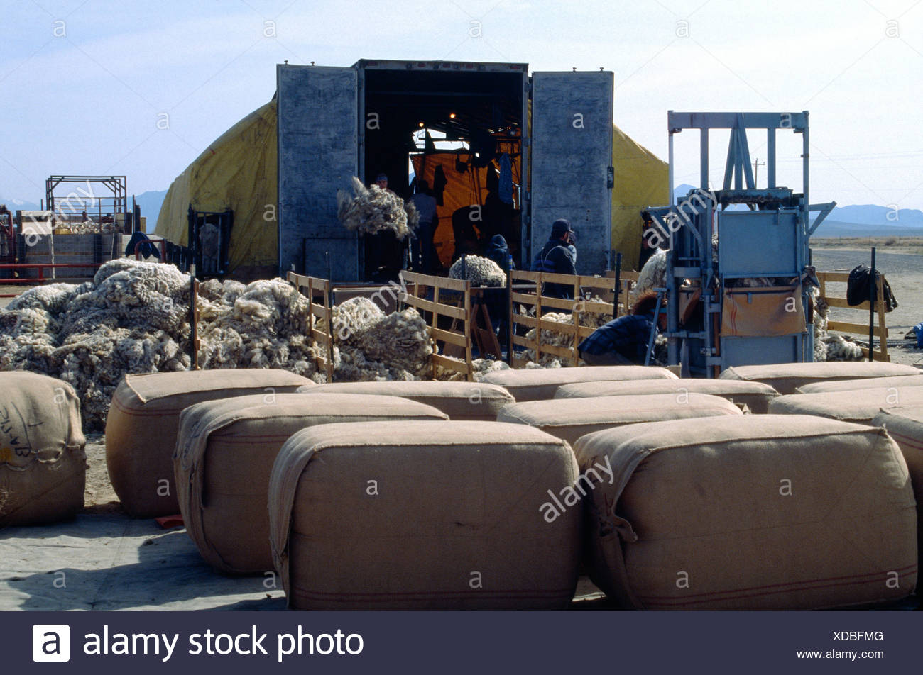 Bales Of Graded Wool High Resolution Stock Photography and Images - Alamy