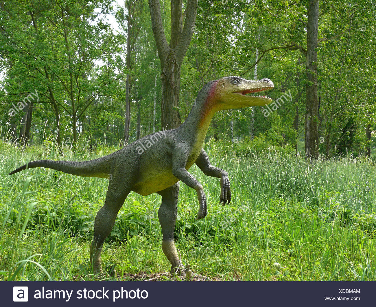 Velociraptor High Resolution Stock Photography and Images - Alamy