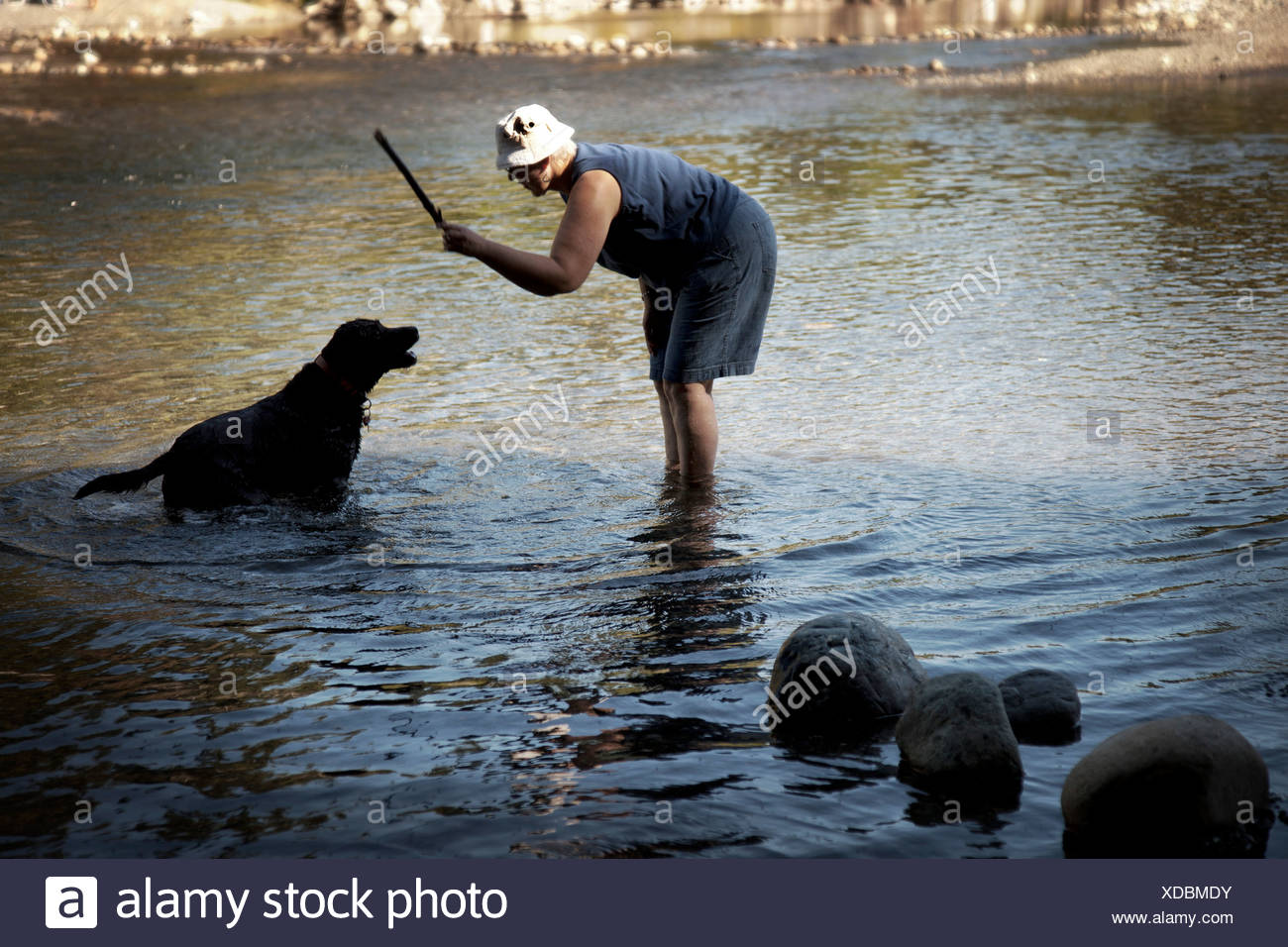 Throw Stick Stock Photos & Throw Stick Stock Images - Alamy