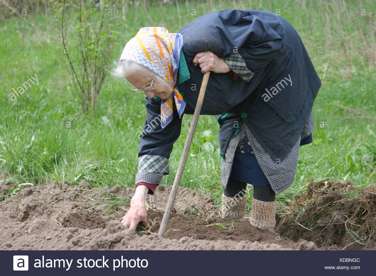 Hunchback Woman High Resolution Stock Photography and Images - Alamy