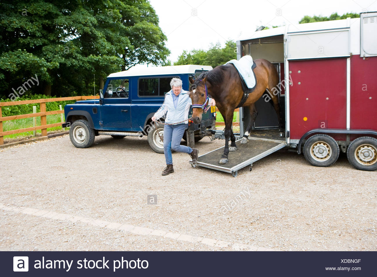 Horsebox High Resolution Stock Photography and Images - Alamy