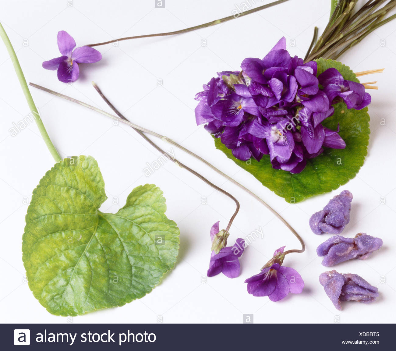 Bunch Of Violets Stock Photos & Bunch Of Violets Stock Images - Alamy