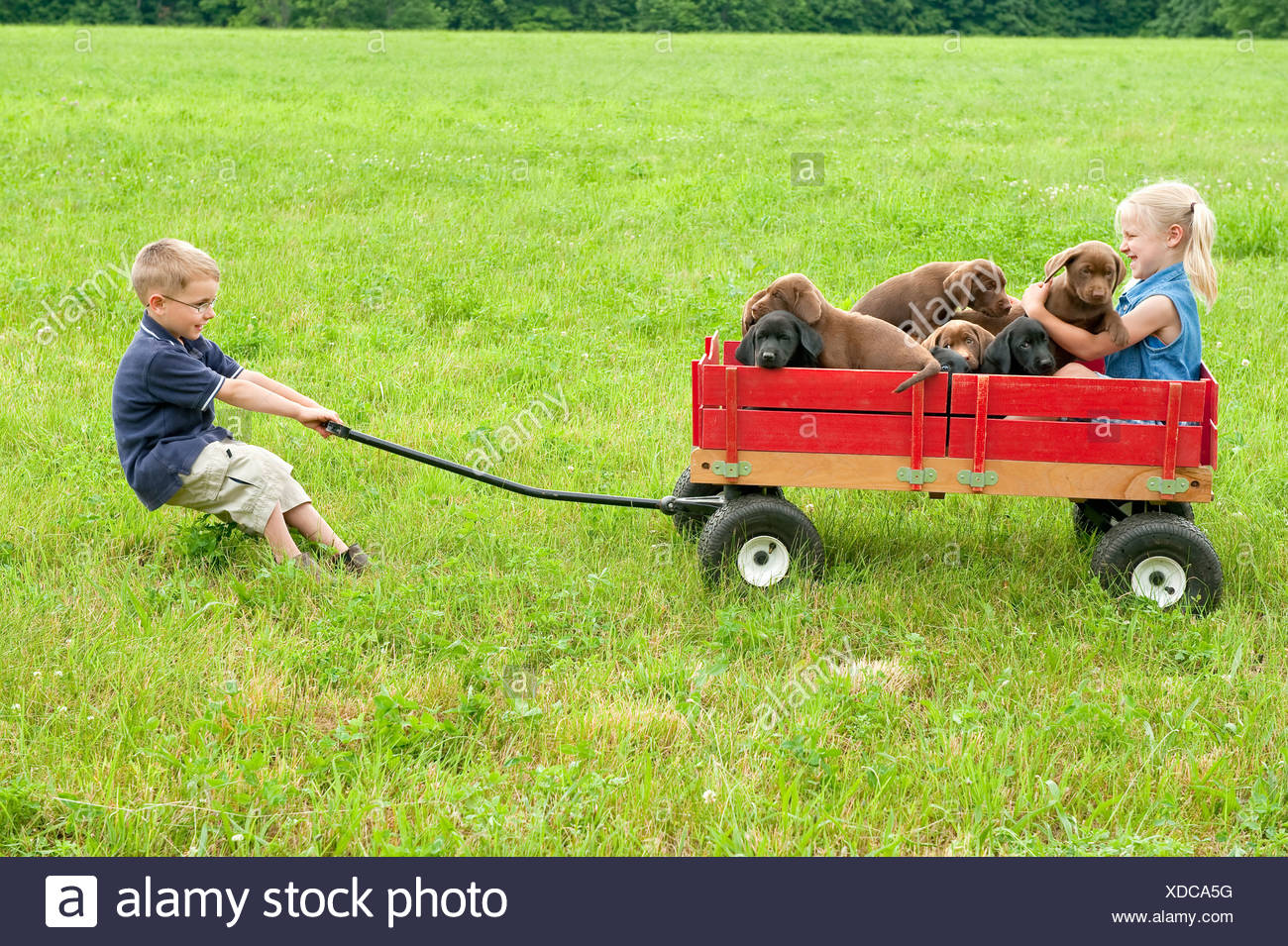 Boy Puppies Outdoors High Resolution Stock Photography and Images - Alamy