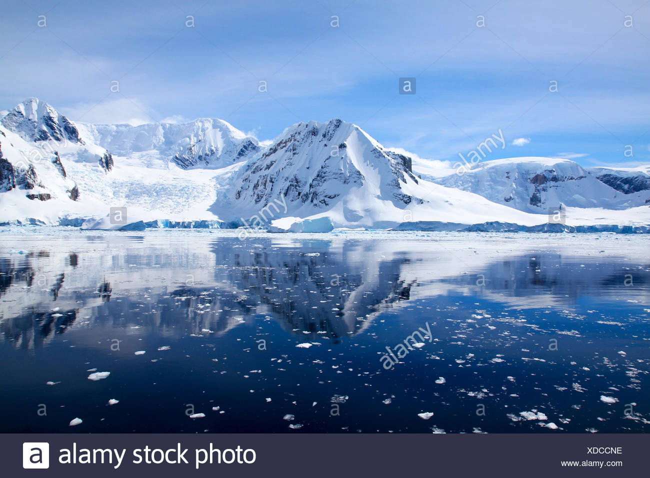 Wilhelmina Bay Antarctica Stock Photos & Wilhelmina Bay Antarctica ...