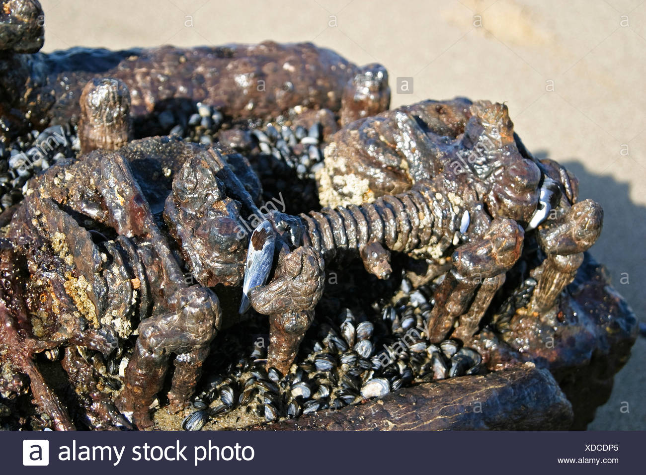 Old Engine Parts High Resolution Stock Photography and Images - Alamy