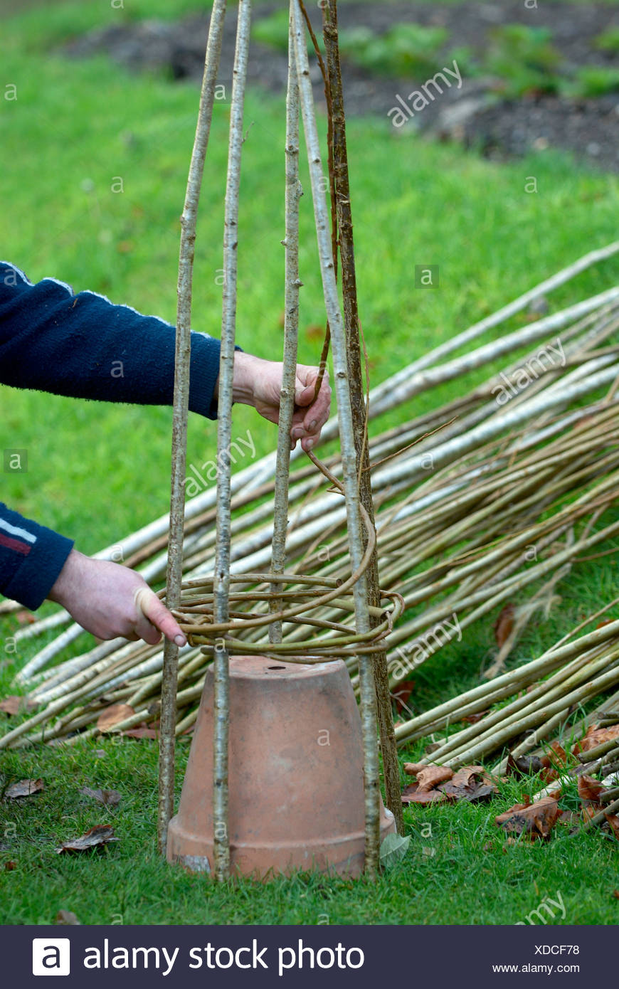 Willow Rods Stock Photos & Willow Rods Stock Images - Alamy