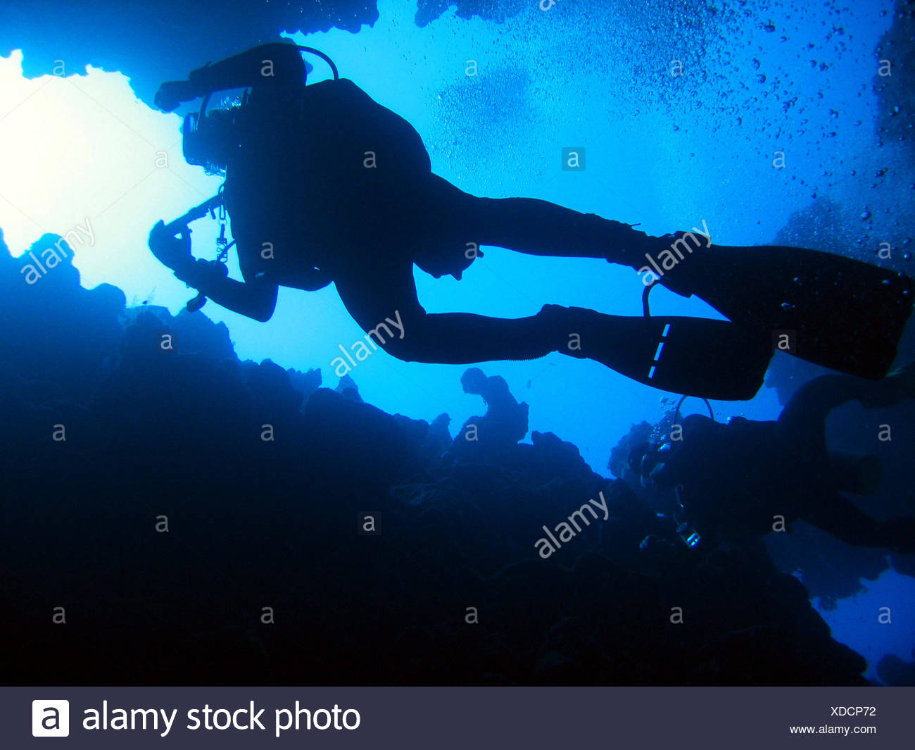 Scuba Diving Stock Photos & Scuba Diving Stock Images - Alamy