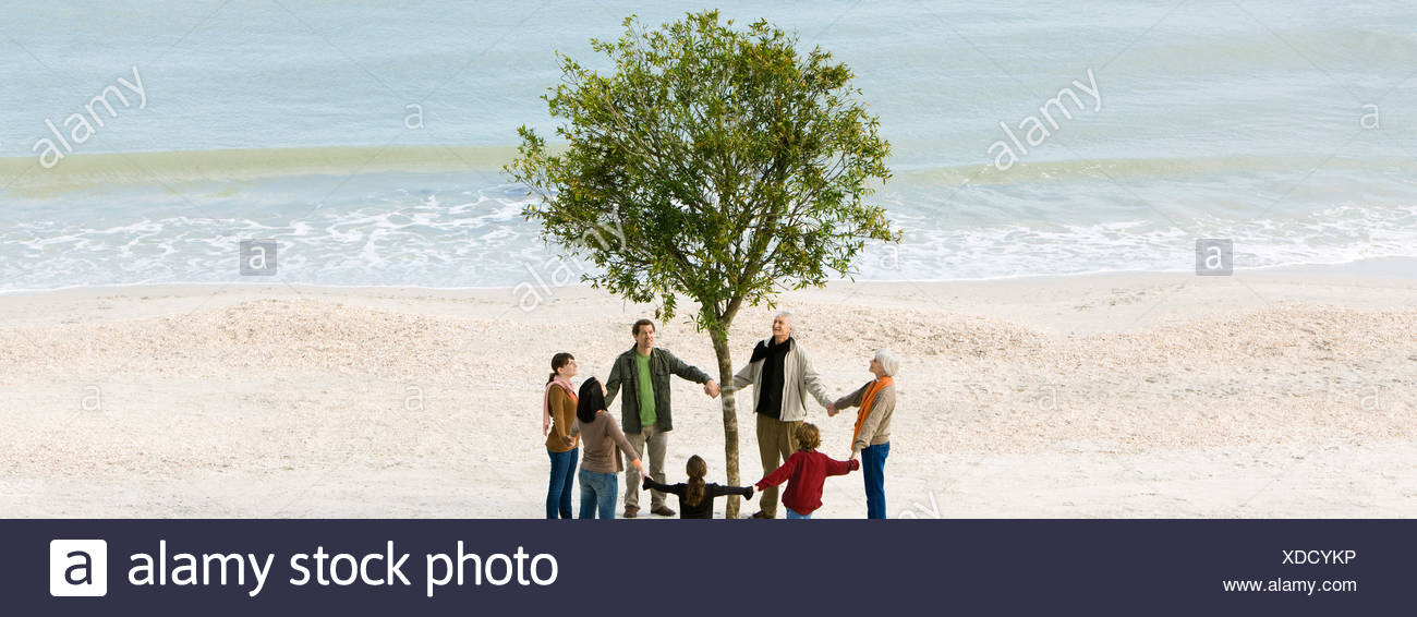 Children Holding Hands Circle High Resolution Stock Photography and ...