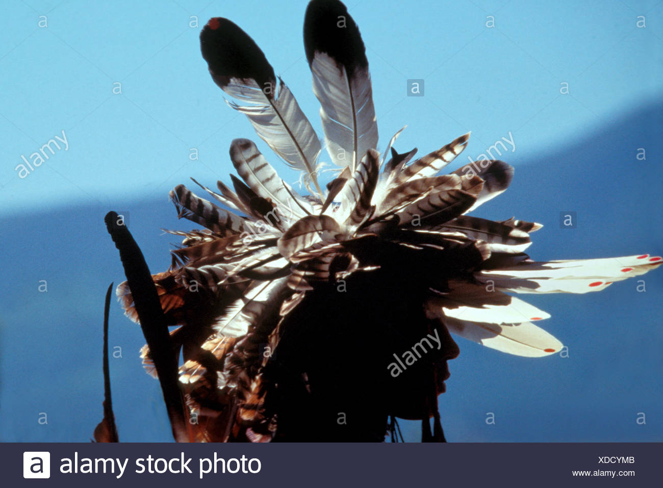 Blackfoot Tribe High Resolution Stock Photography and Images - Alamy