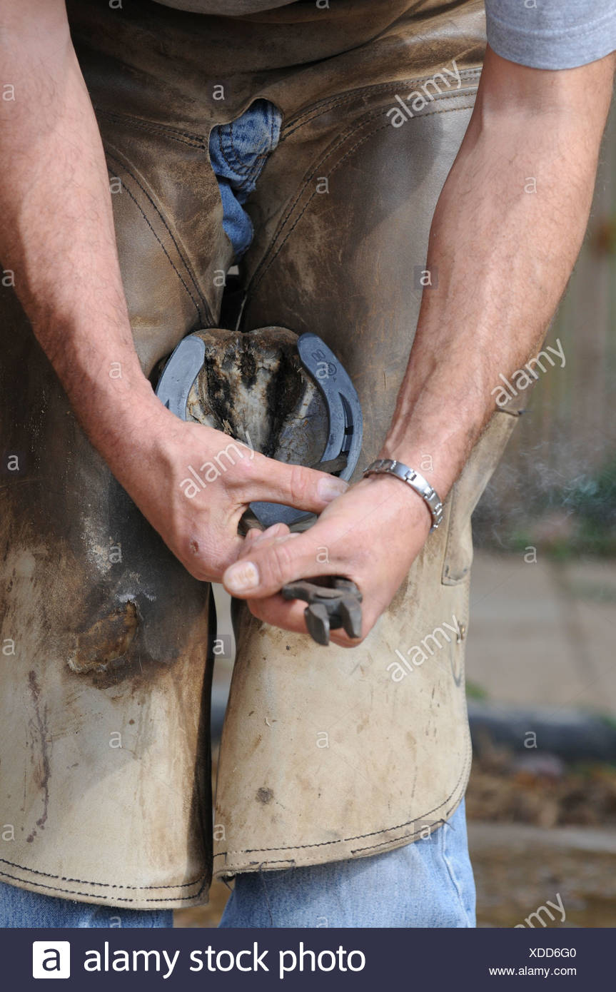 Farrier Stock Photos & Farrier Stock Images - Alamy