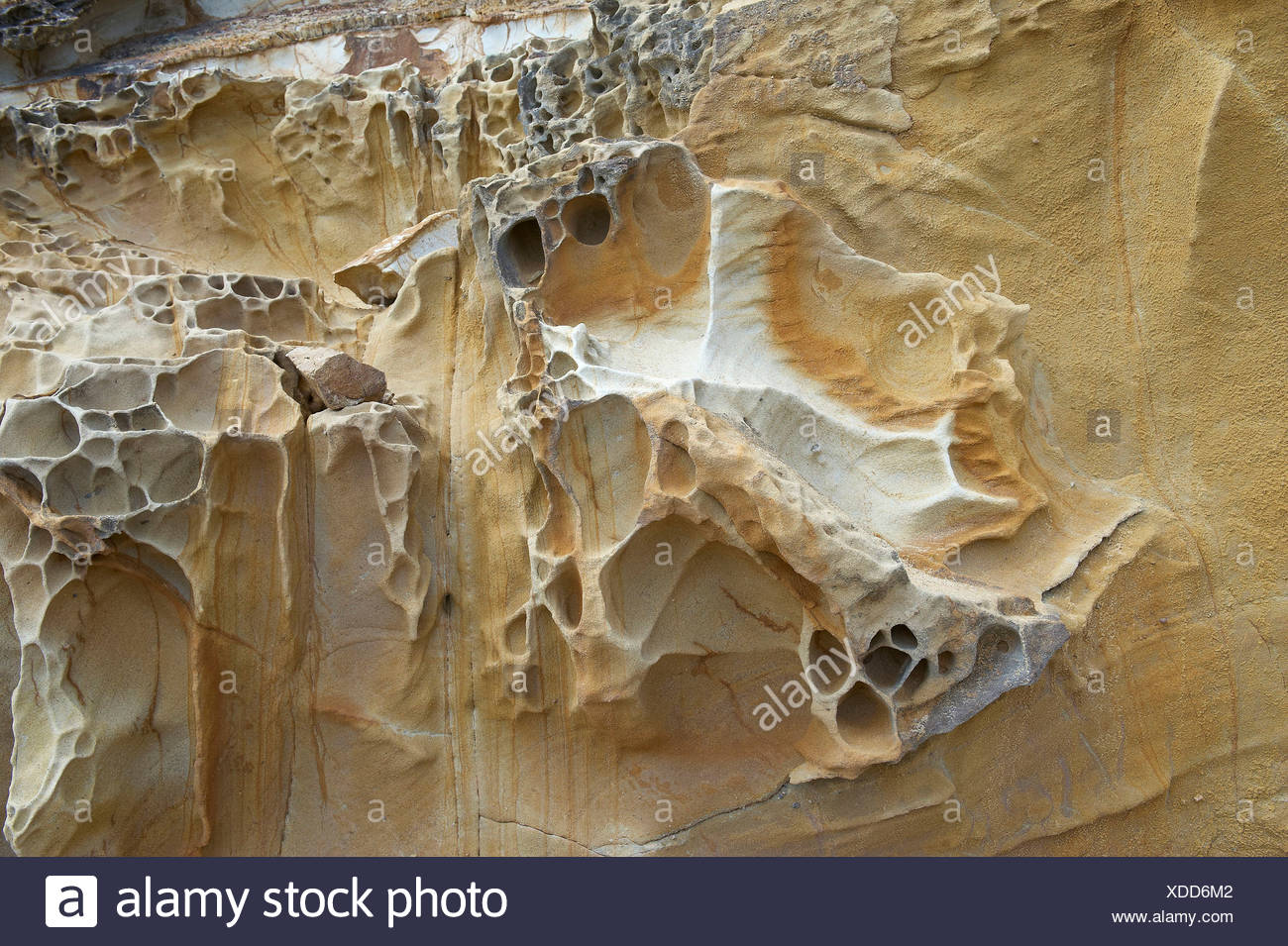 Boyd High Resolution Stock Photography and Images - Alamy