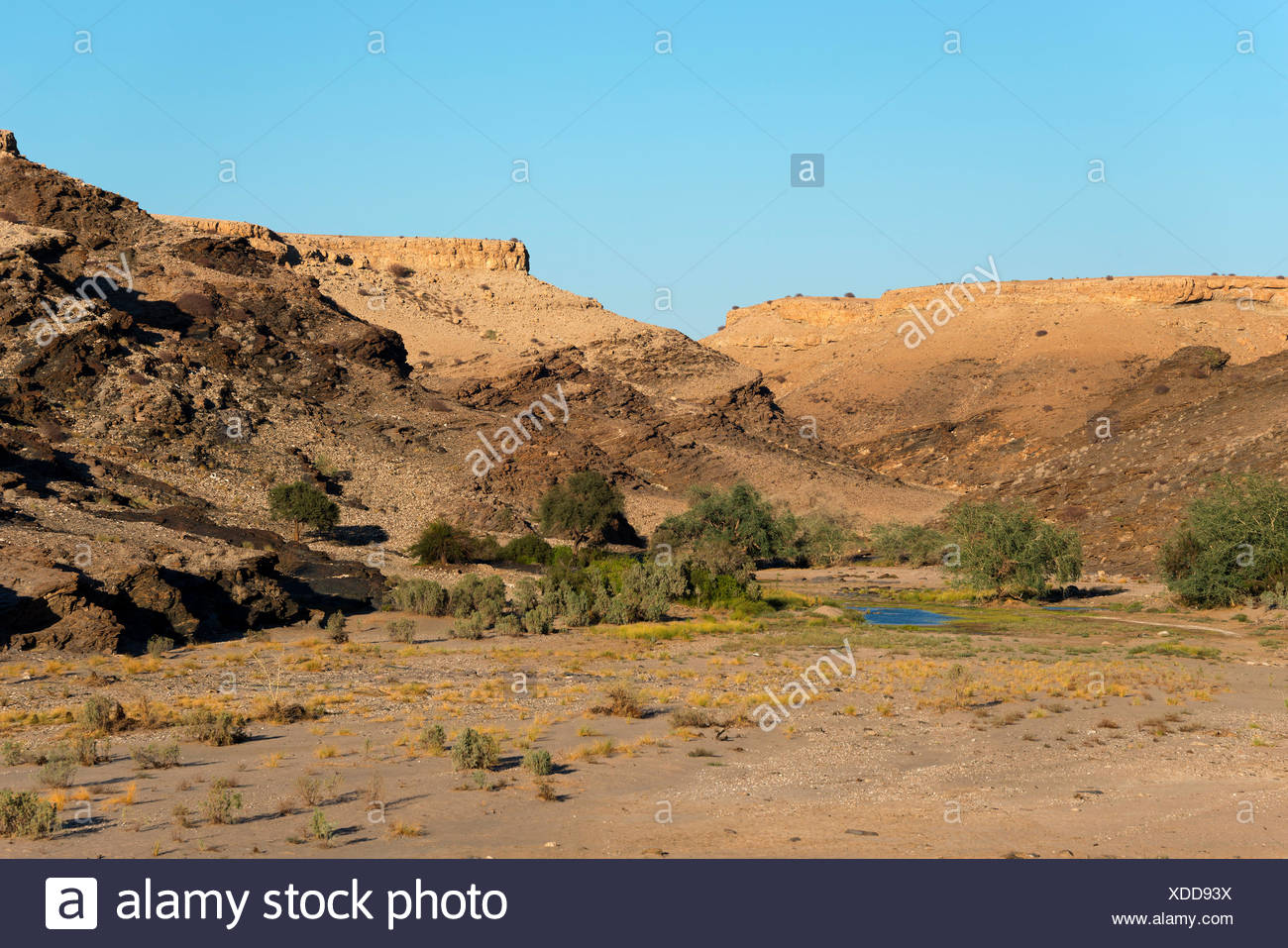 Gaub High Resolution Stock Photography and Images - Alamy