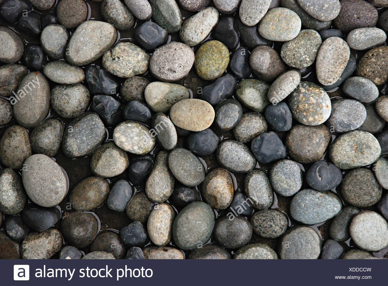 Pebble Based High Resolution Stock Photography and Images - Alamy