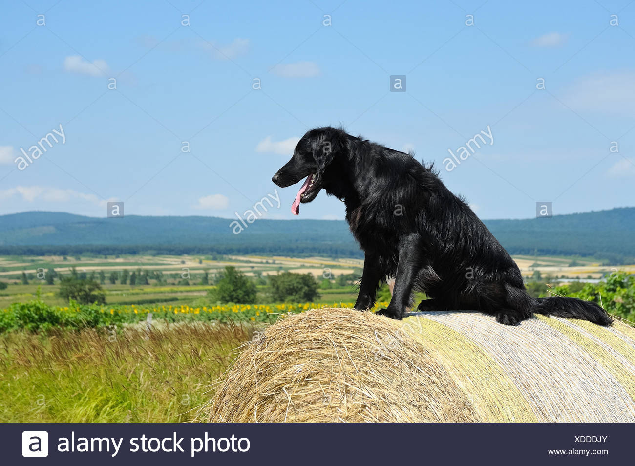 Heurolle High Resolution Stock Photography and Images - Alamy