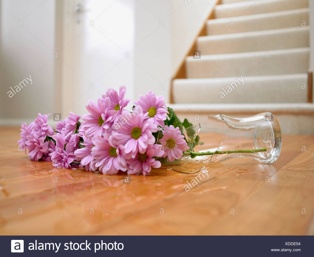 Broken Vase Flower Stock Photos & Broken Vase Flower Stock Images - Alamy
