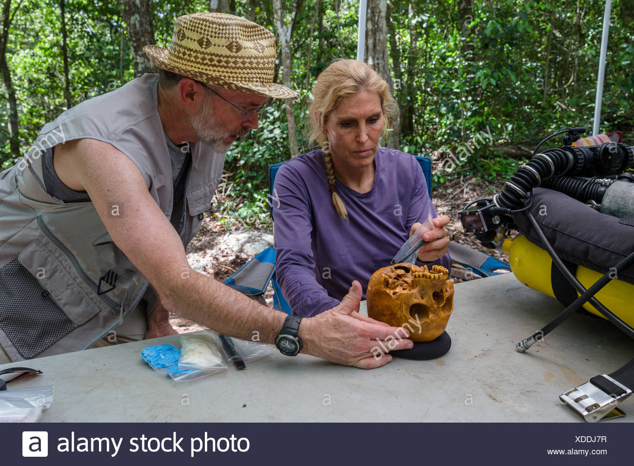 12 Member High Resolution Stock Photography and Images - Alamy