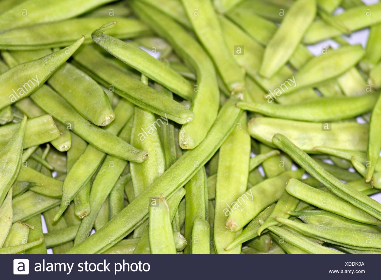 Cyamopsis Tetragonoloba High Resolution Stock Photography and Images ...