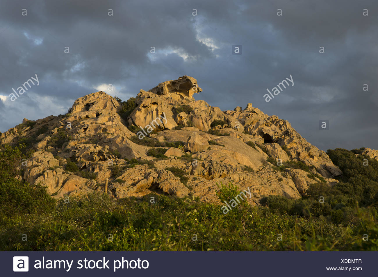 Bear Rock Sardinia High Resolution Stock Photography and Images - Alamy