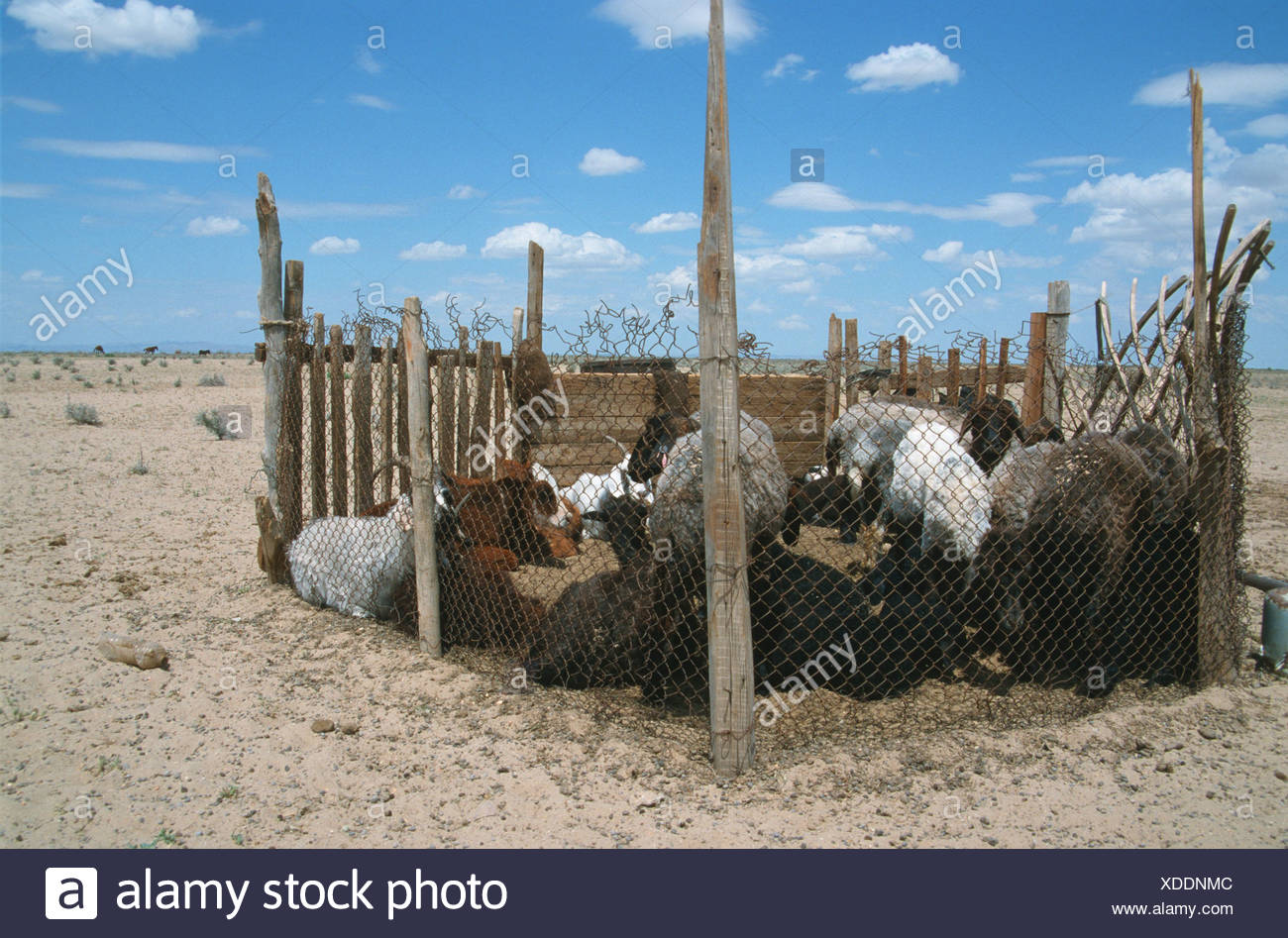 Kraal For Goats High Resolution Stock Photography and Images - Alamy
