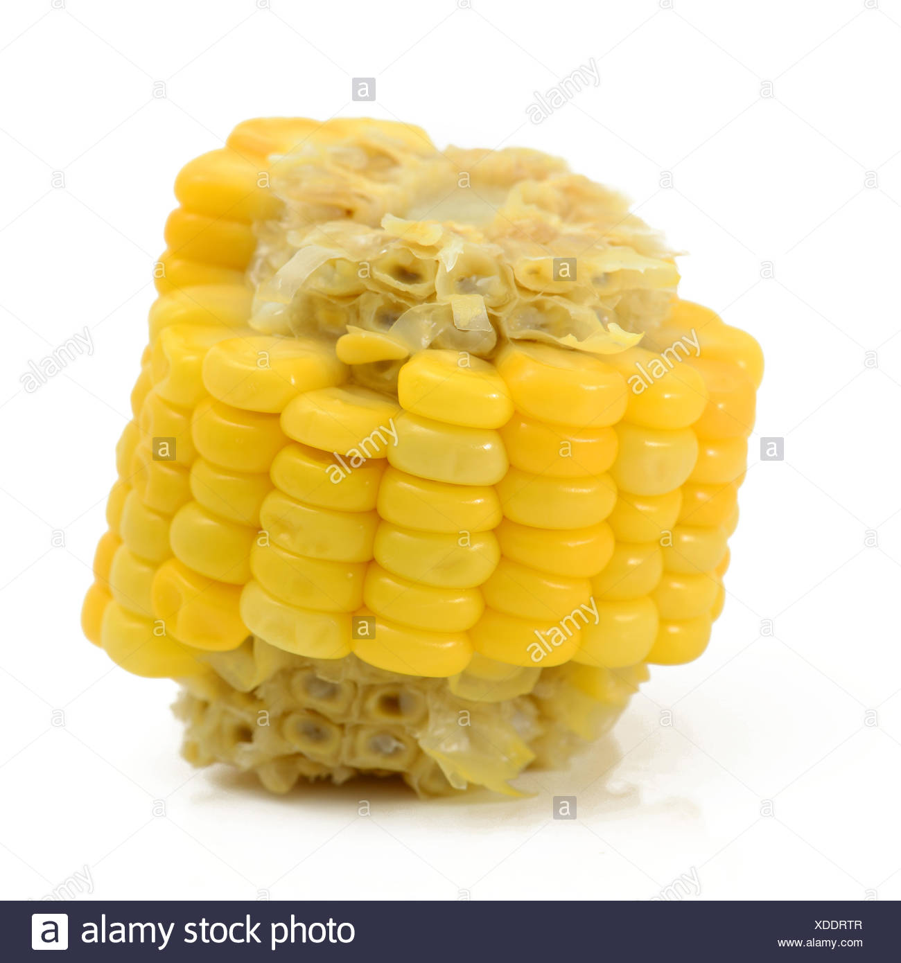 Corn Cross Section High Resolution Stock Photography and Images - Alamy