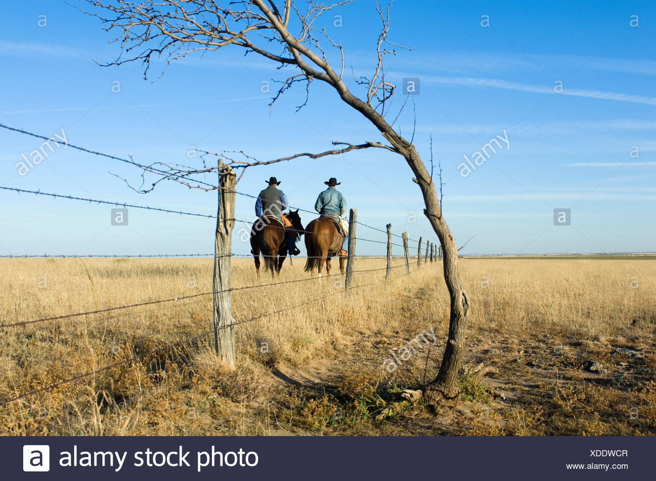 Cowboys On Fence Stock Photos & Cowboys On Fence Stock Images - Alamy