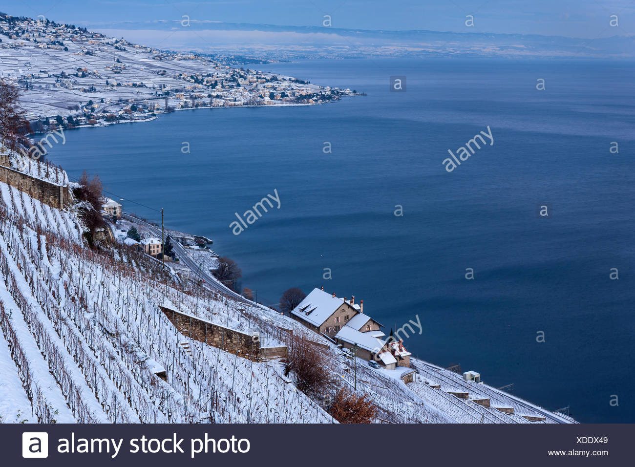 Lake Geneva Switzerland Winter High Resolution Stock Photography and ...