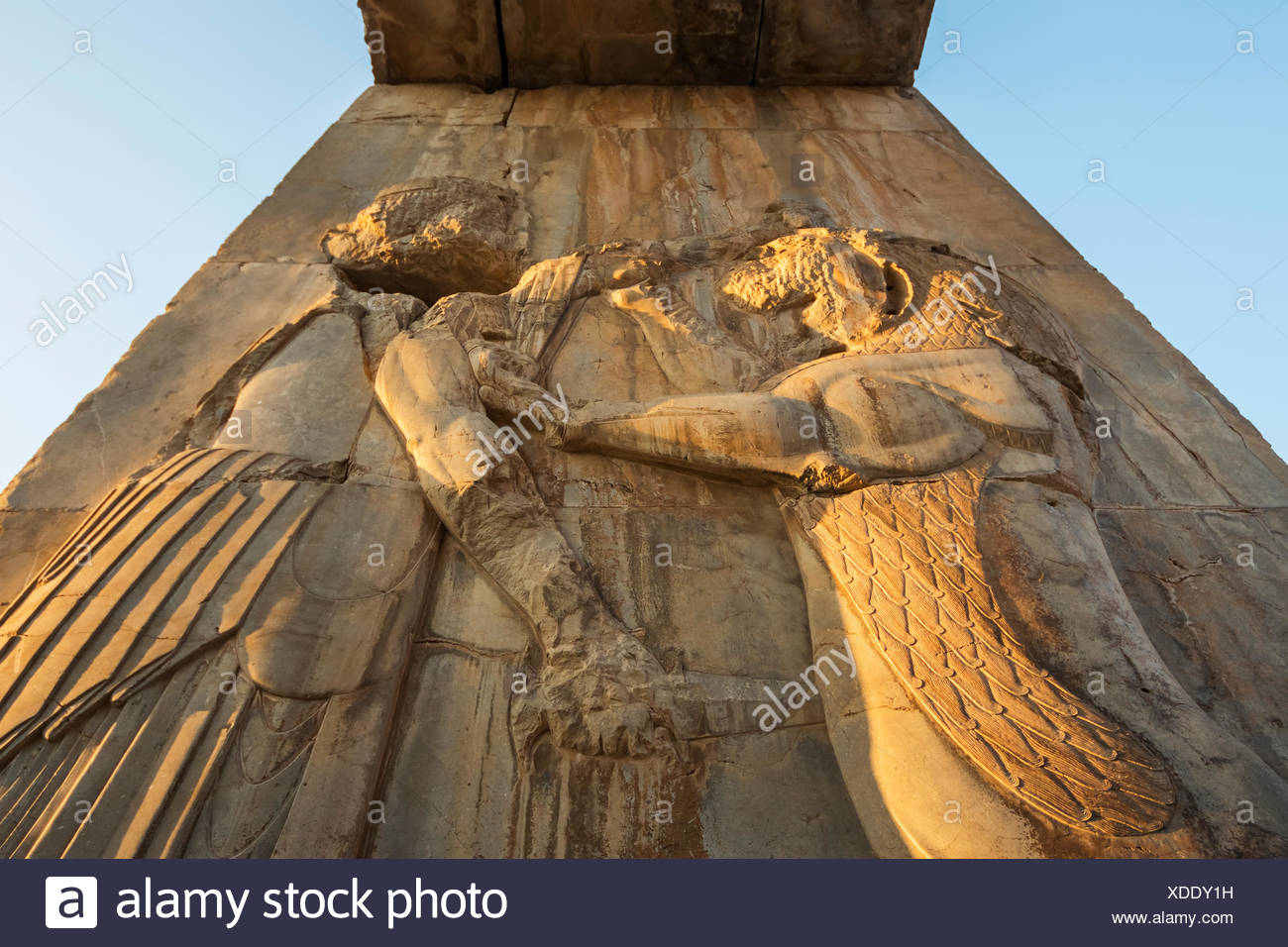 Persepolis Relief Lion High Resolution Stock Photography and Images - Alamy