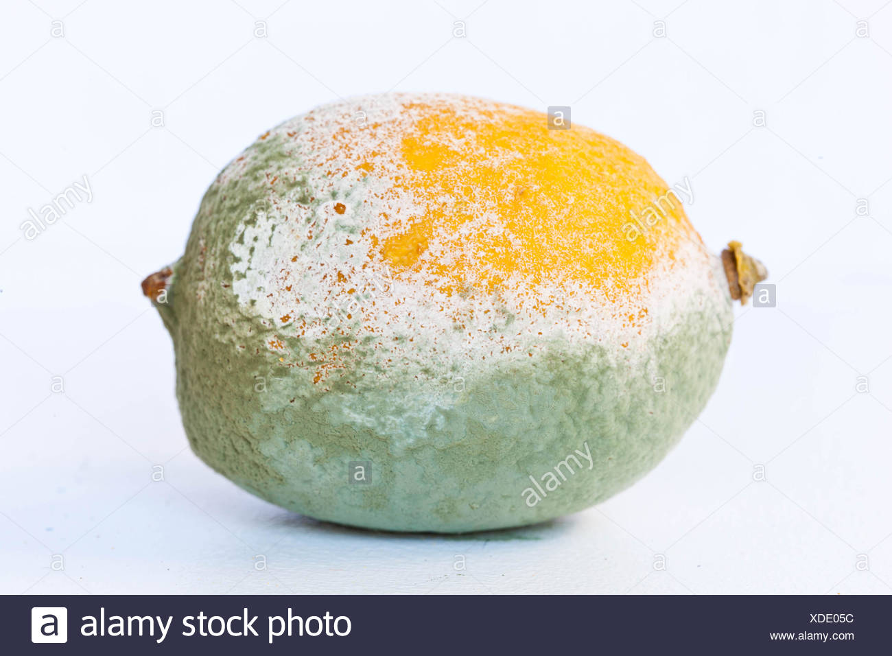 Mouldy Fruit High Resolution Stock Photography and Images - Alamy