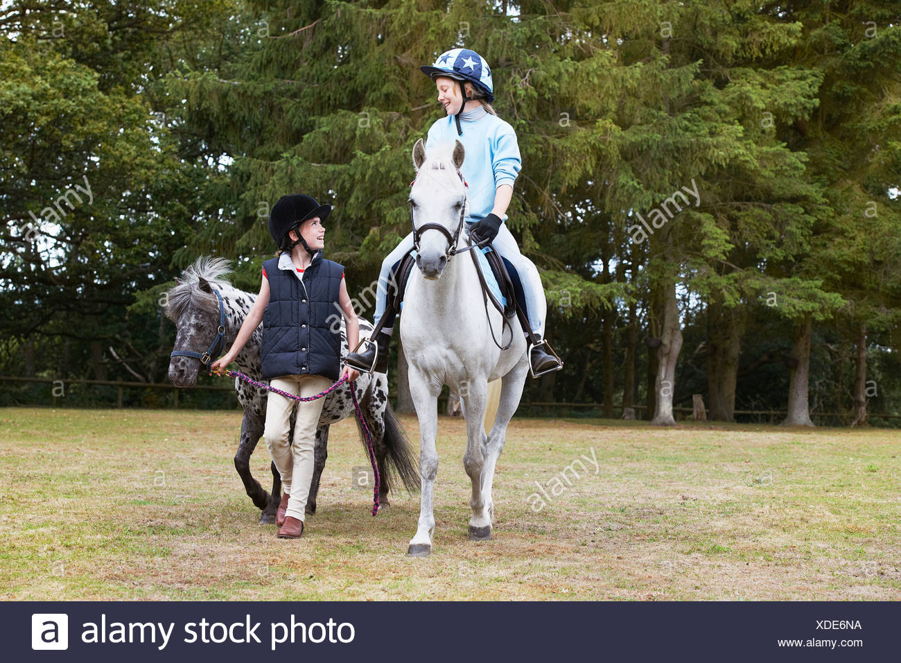 Two Ponies High Resolution Stock Photography and Images - Alamy