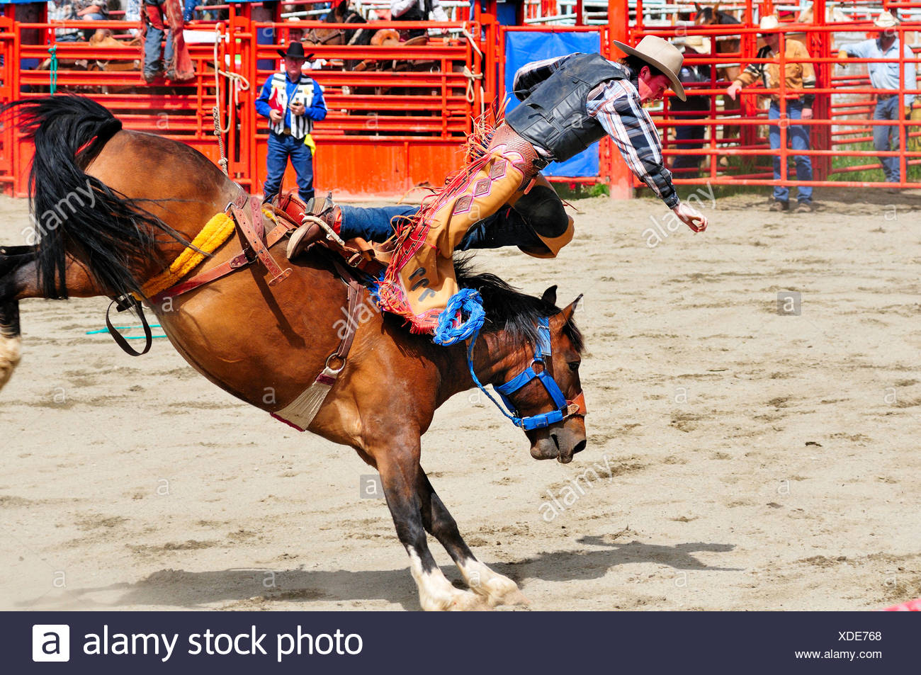 Saddle Bronc Riding High Resolution Stock Photography and Images - Alamy