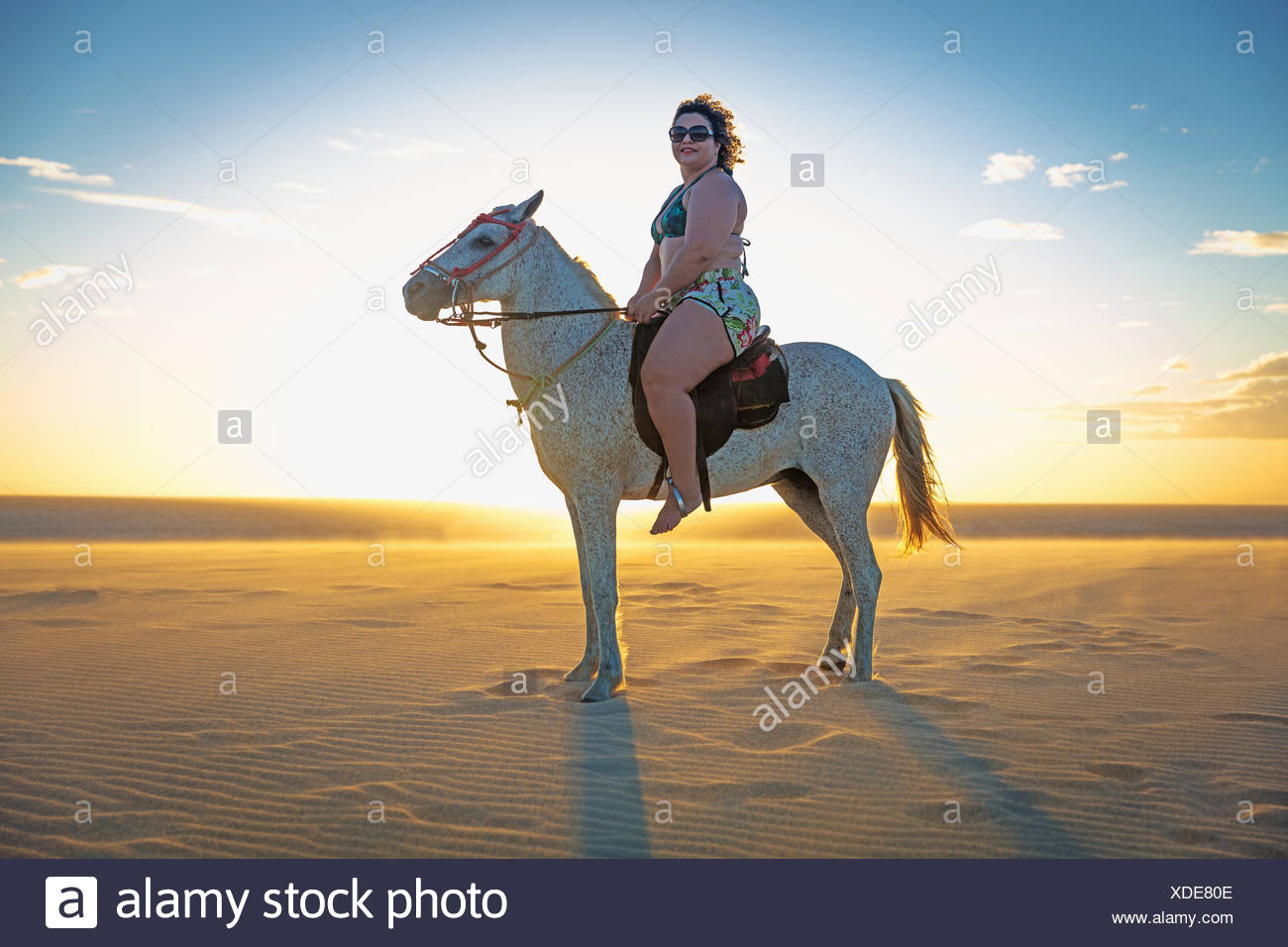 Riding Horse Beach Brazil High Resolution Stock Photography and Images ...