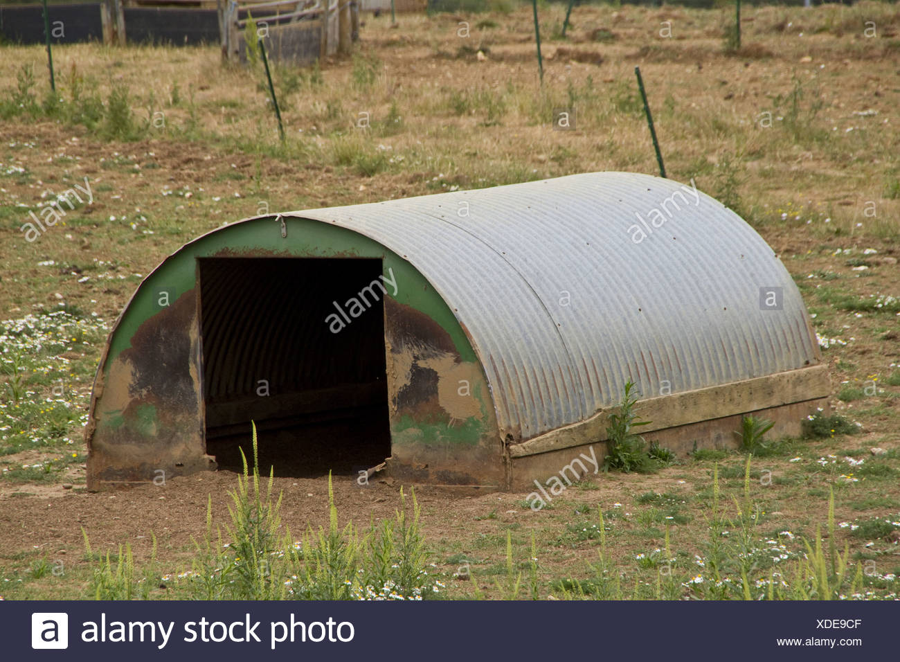 Pigsty High Resolution Stock Photography and Images - Alamy