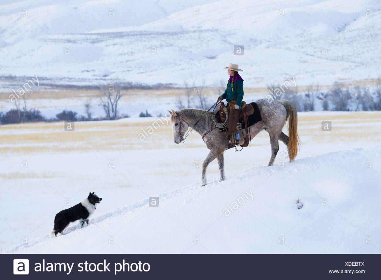 Australian Cowgirl Stock Photos & Australian Cowgirl Stock Images - Alamy