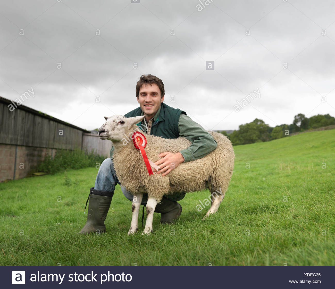 Sheep Farmer High Resolution Stock Photography and Images - Alamy