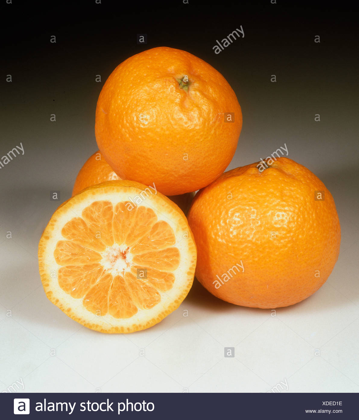 Pixie Stock Photos & Pixie Stock Images - Alamy